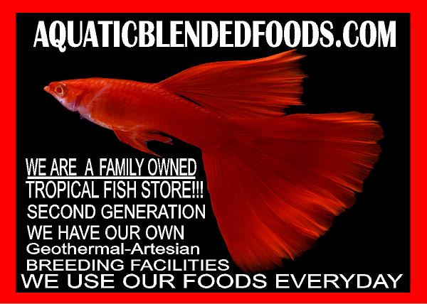 SUPER CATFISH MIX #2 ABF80N – AQUATICBLENDEDFOODS