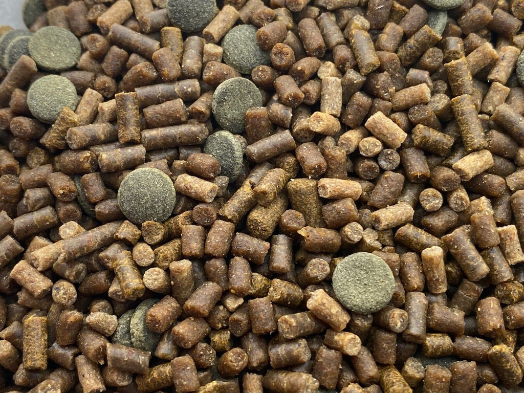 ABF AQUATIC FRESHWATER SNAIL FOOD MIX with MINI SPIRULINA WAFERS- ABF1 ...