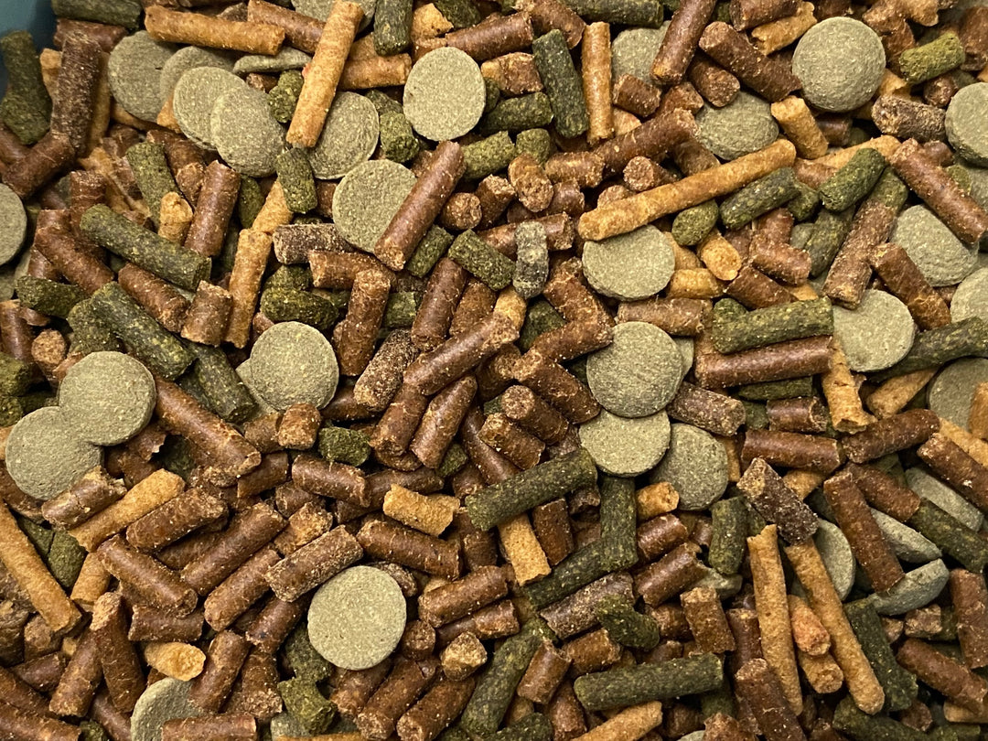 Products – Page 6 – AQUATICBLENDEDFOODS