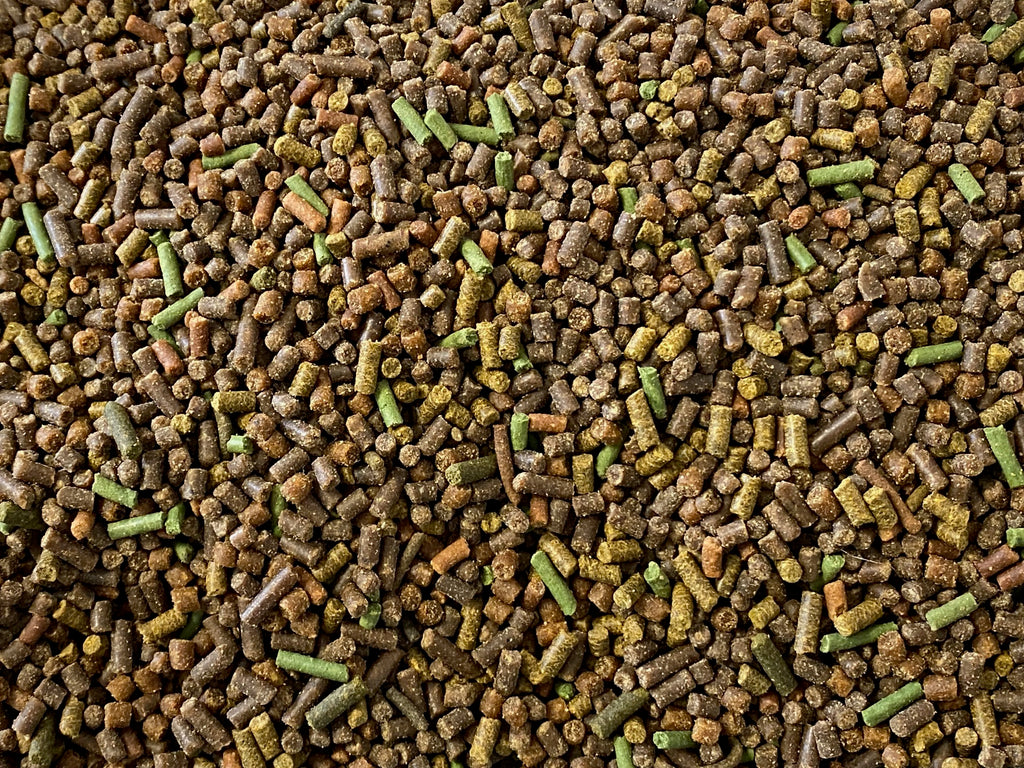 SUPER FRESHWATER SNAIL MIX #2 ABF2 - HEAT SEALED FOR FRESHNESS - 24HR ...