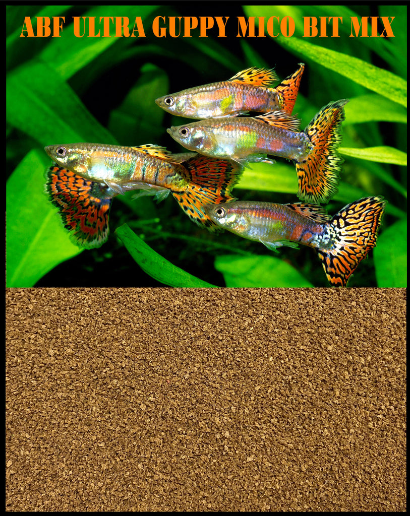 ABF ULTRA GUPPY MICRO BIT MIX,Guppy,Endlers,most small Fish,Spirulina ...