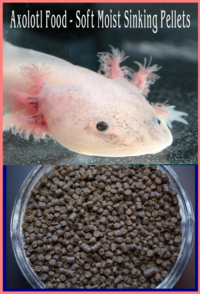 ABF GOURMET AXOLOTL SOFT FOOD PELLET MIX, 3.2mm - ABF4 - HEAT SEALED F ...