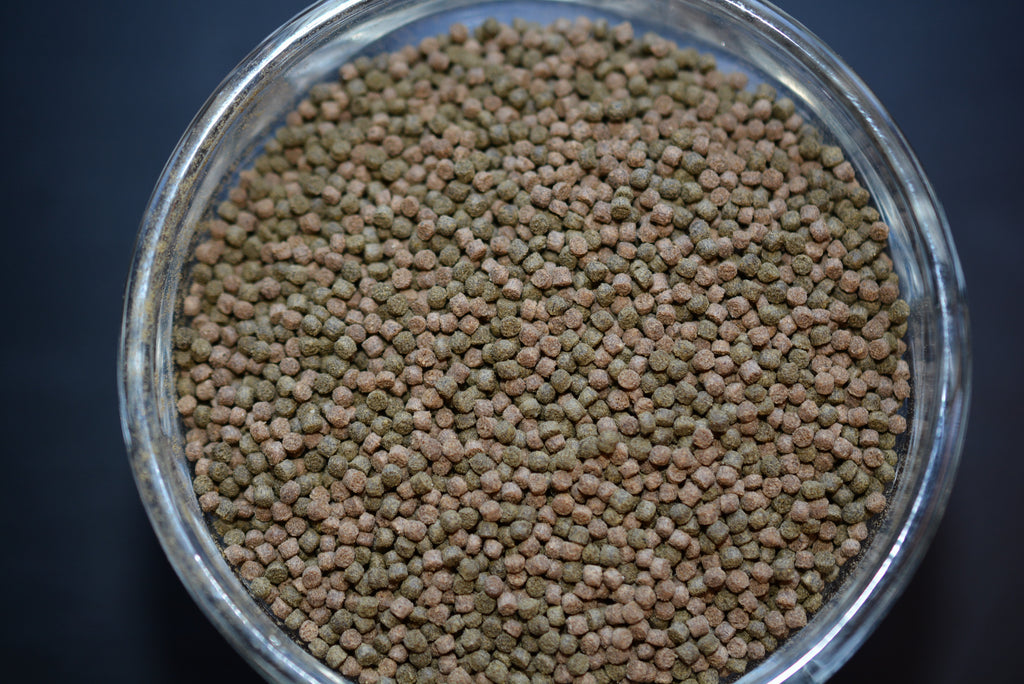 GOURMET CICHLID ULTRA & VEGGIE PELLET MIX 2.0mm ABF185 ...