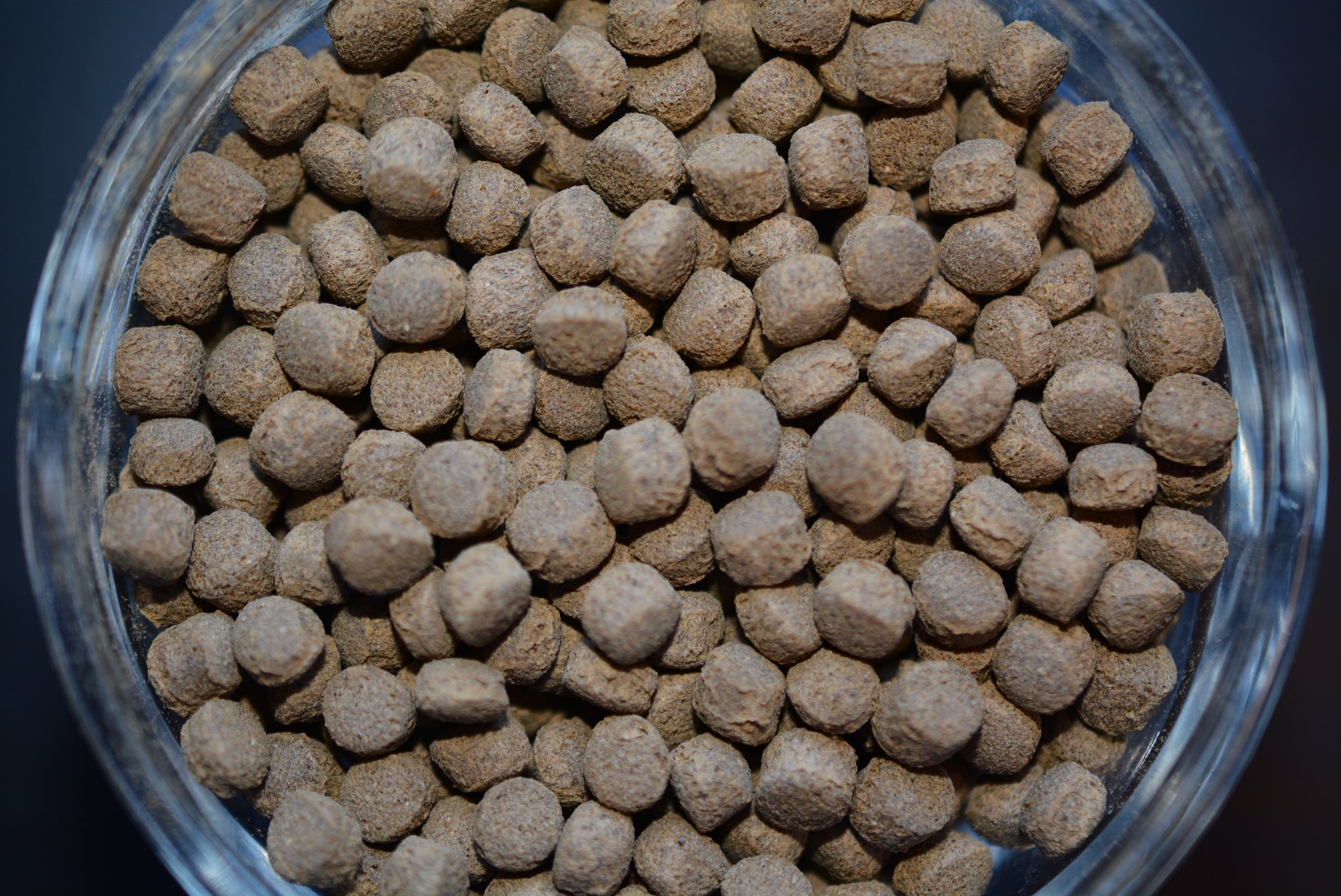 SINKING STICK, BITS and PELLET FOODS – AQUATICBLENDEDFOODS