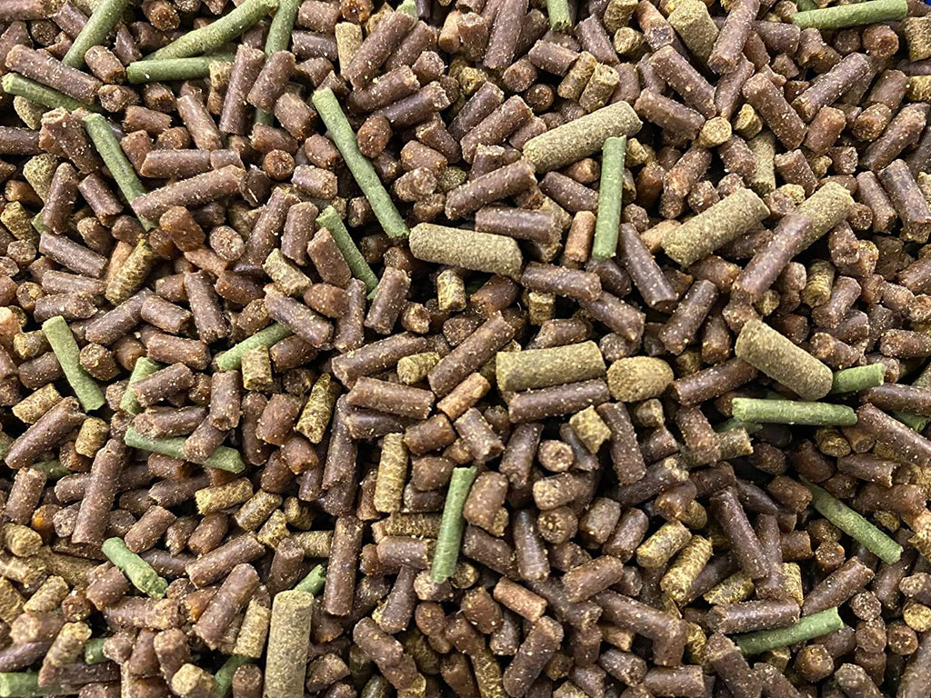 SUPER FRESHWATER SNAIL MIX #2 ABF2 - HEAT SEALED FOR FRESHNESS - 24HR ...