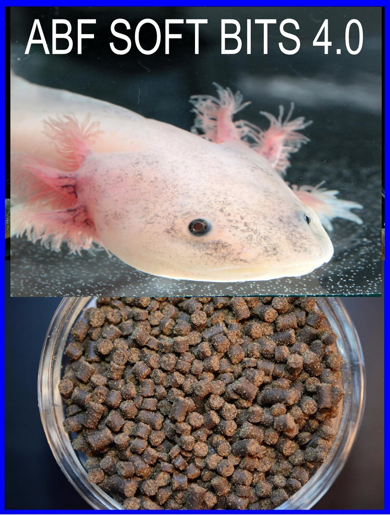 ABF GOURMET AXOLOTL SOFT FOOD PELLET MIX, 4.0mm - ABF5 - HEAT SEALED F ...