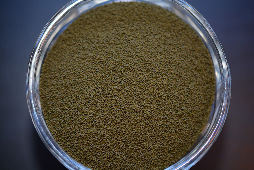 GOURMET MICRO .5mm HIGH PROTEIN,62%,SLOW SINKING,FRY FOOD ABF41 ...