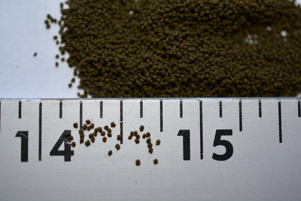 GOURMET MICRO .5mm HIGH PROTEIN,62%,SLOW SINKING,FRY FOOD ABF41 ...