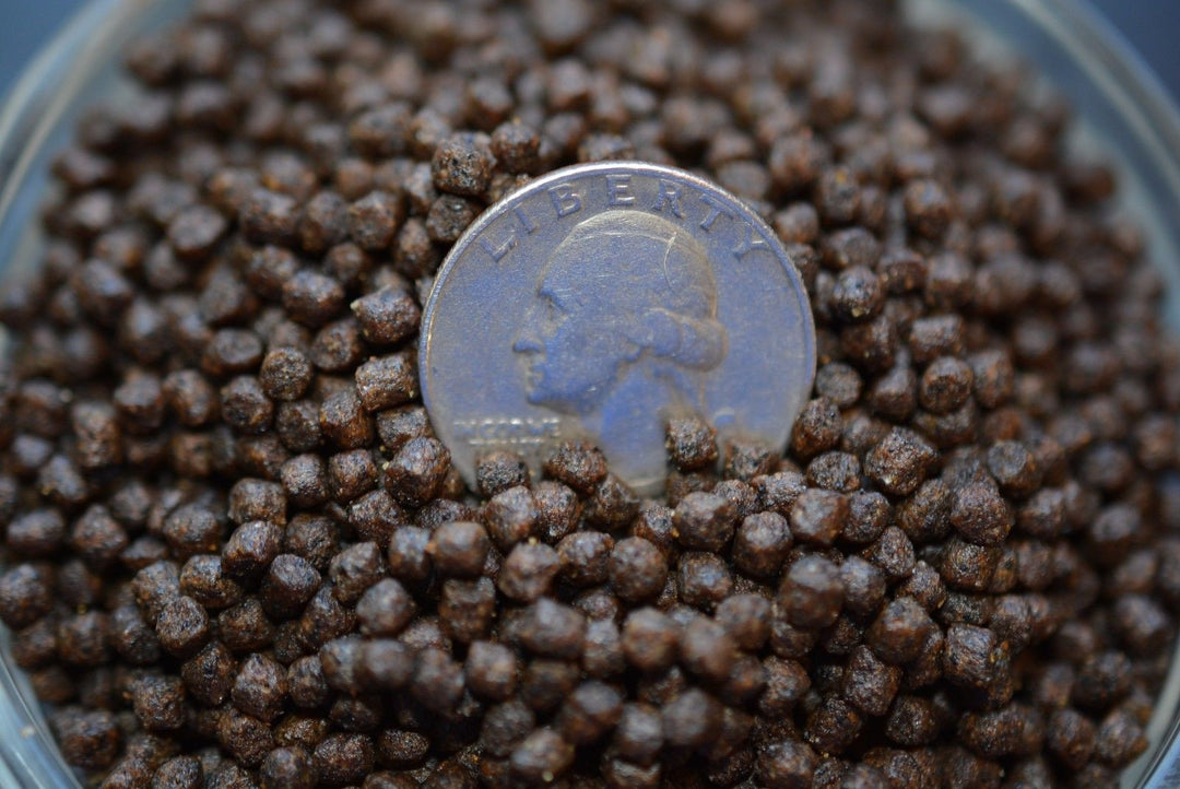 GOURMET FLOATING PELLETS 3.5 ABF197 – AQUATICBLENDEDFOODS