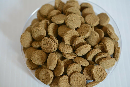 SINKING STICK, BITS and PELLET FOODS – AQUATICBLENDEDFOODS