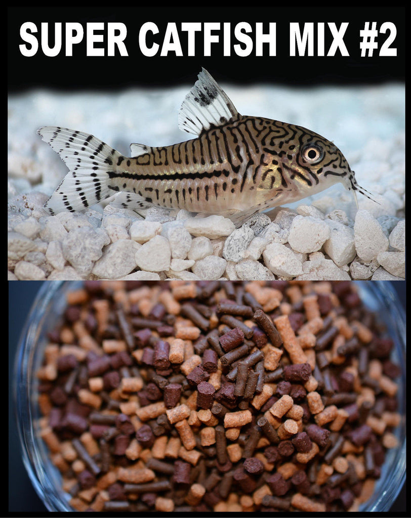 SUPER CATFISH MIX #2 ABF80N – AQUATICBLENDEDFOODS