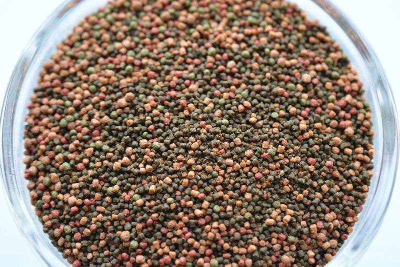 ABF COLOR & GROW SMALL FLOATING & SLOW SINKING SUPER MIX,ABF122 - HEAT ...