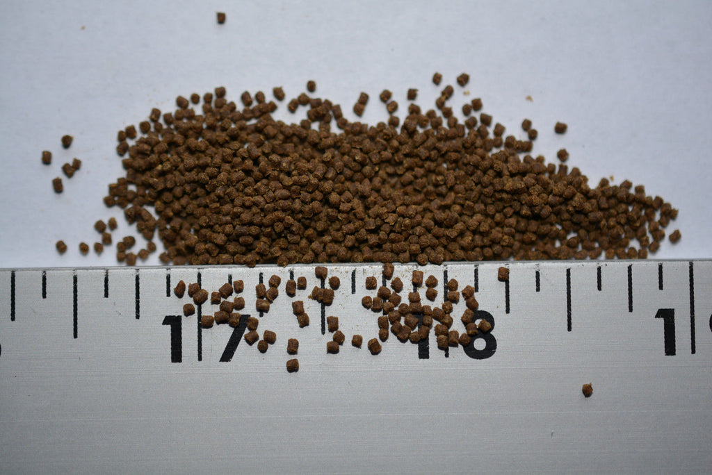 SLOW SINKING MINI PELLETS 1.0 ABF59 – AQUATICBLENDEDFOODS